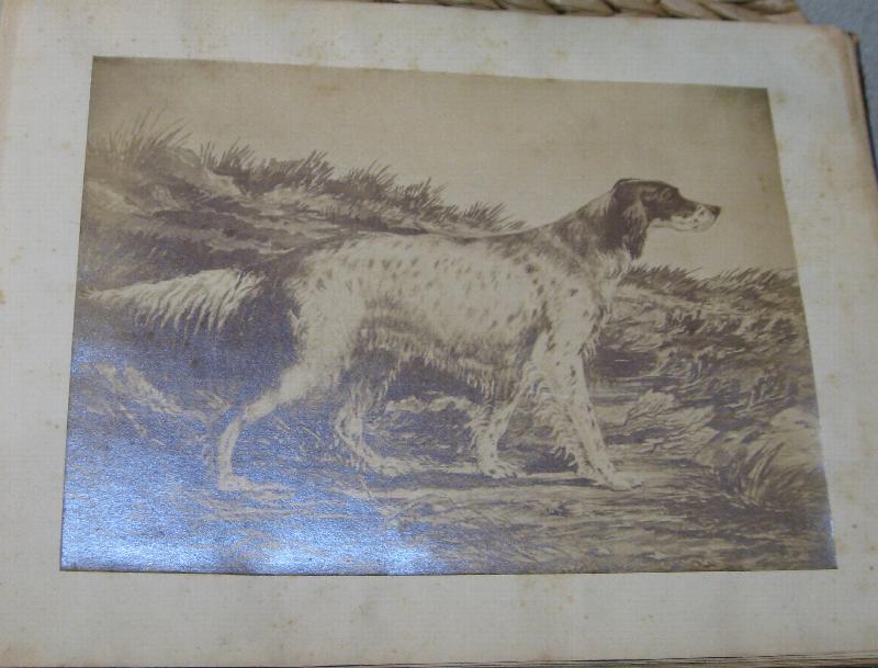 Gunnerman Books, Rochester Hills, Michigan