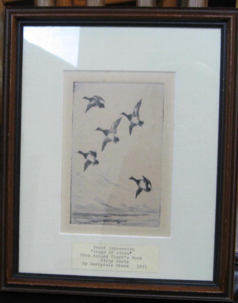 Gunnerman Books, Rochester Hills, Michigan